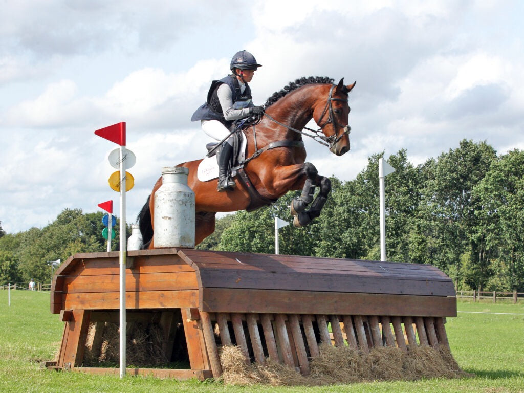 Surge to Success: The Power of Hydration in Horse Eventing with Surge
